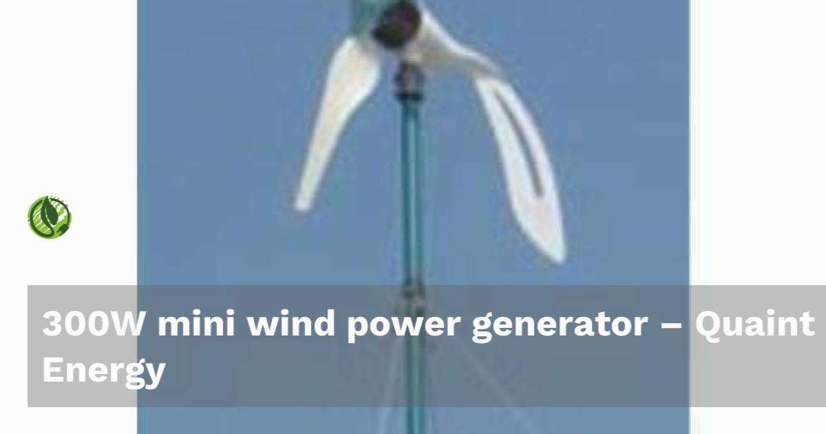 300W mini wind power generator – Quaint Energy